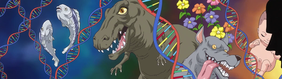 Factor de linaje | One Piece Wiki | Fandom