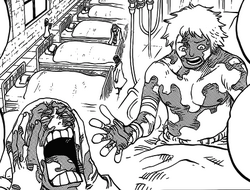 Flevance | One Piece Wiki Italia | Fandom