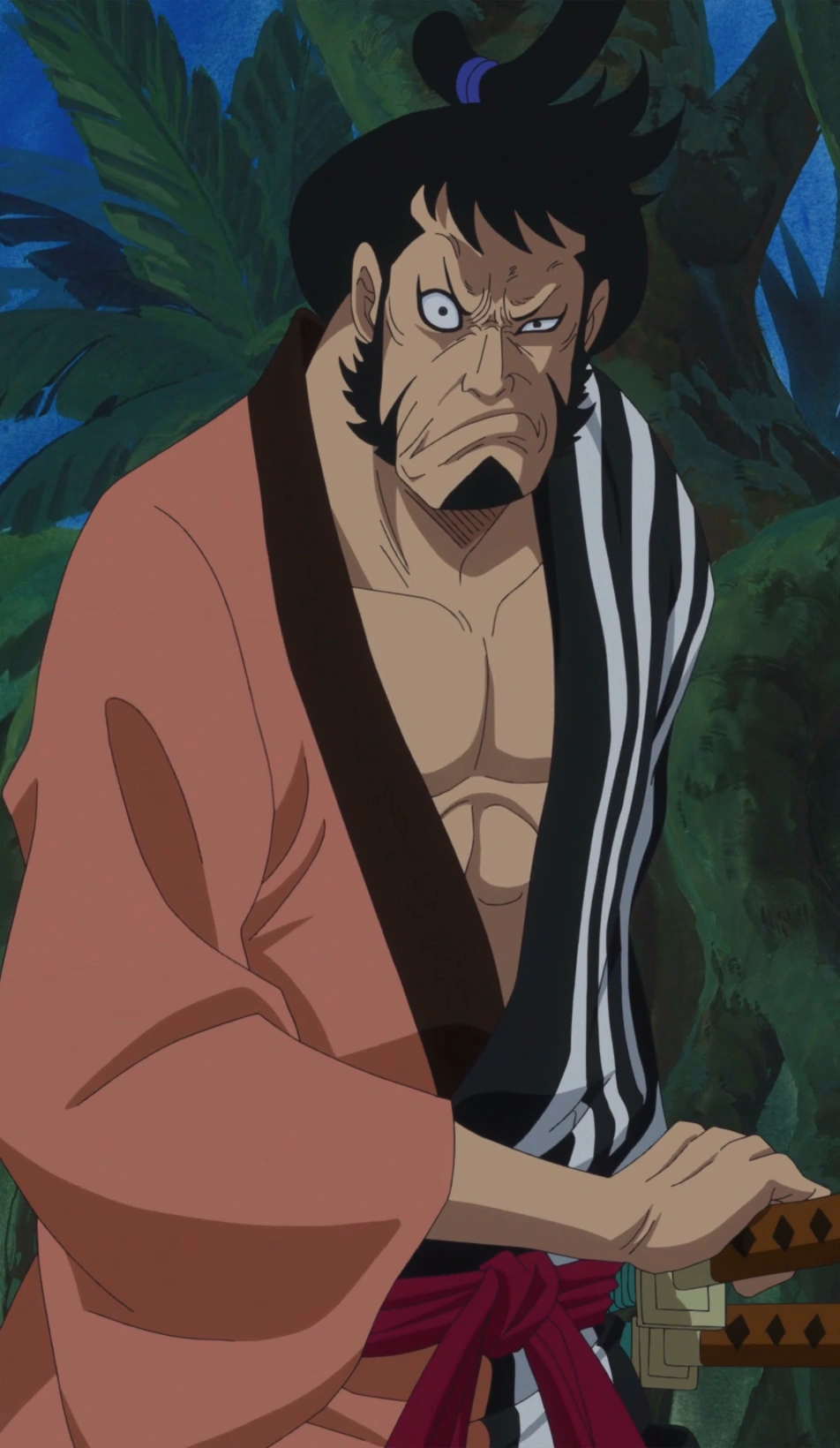 Kin'emon | One Piece Wiki Italia | Fandom