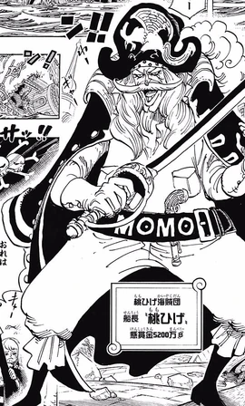 Barbe Rose | One Piece Encyclopédie | Fandom