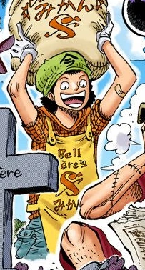 Chabo | One Piece Wiki | Fandom