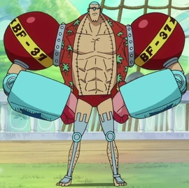 Franky | Wikia One Piece | Fandom