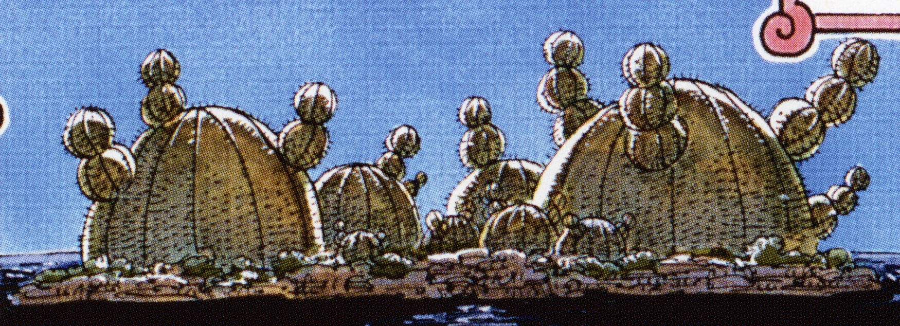 Cactus Island | One Piece Wiki | Fandom