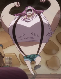 Toshi Toshi no Mi | One Piece Wiki | Fandom