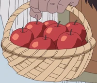 Doc Q | One Piece Wiki | Fandom