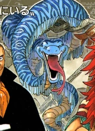 Nola | One Piece Encyclopédie | Fandom