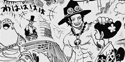 Spade Pirates | One Piece Wiki | Fandom