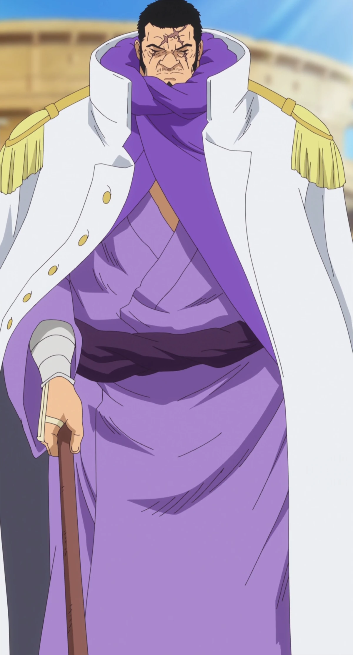 Issho | One Piece Wiki Italia | Fandom