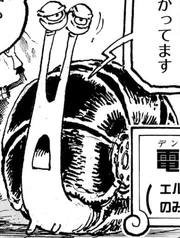 Den Den Mushi | One Piece Wiki | Fandom