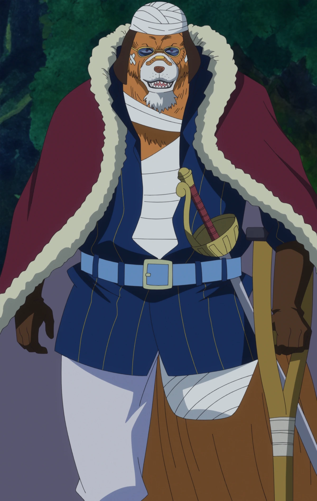 Inuarashi | One Piece Wiki | Fandom