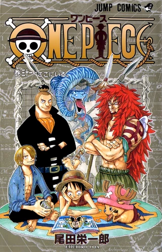 Koko ni Iru (Tankōbon) | OnePiecePedia | Fandom