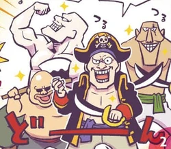 Beardless Pirates | One Piece Encyclopédie | Fandom