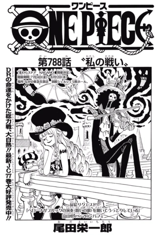 Capítulo 788 | One Piece Wiki | Fandom