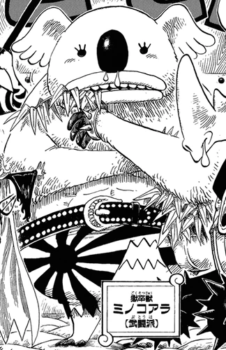 Minokoala | One Piece Wiki | Fandom