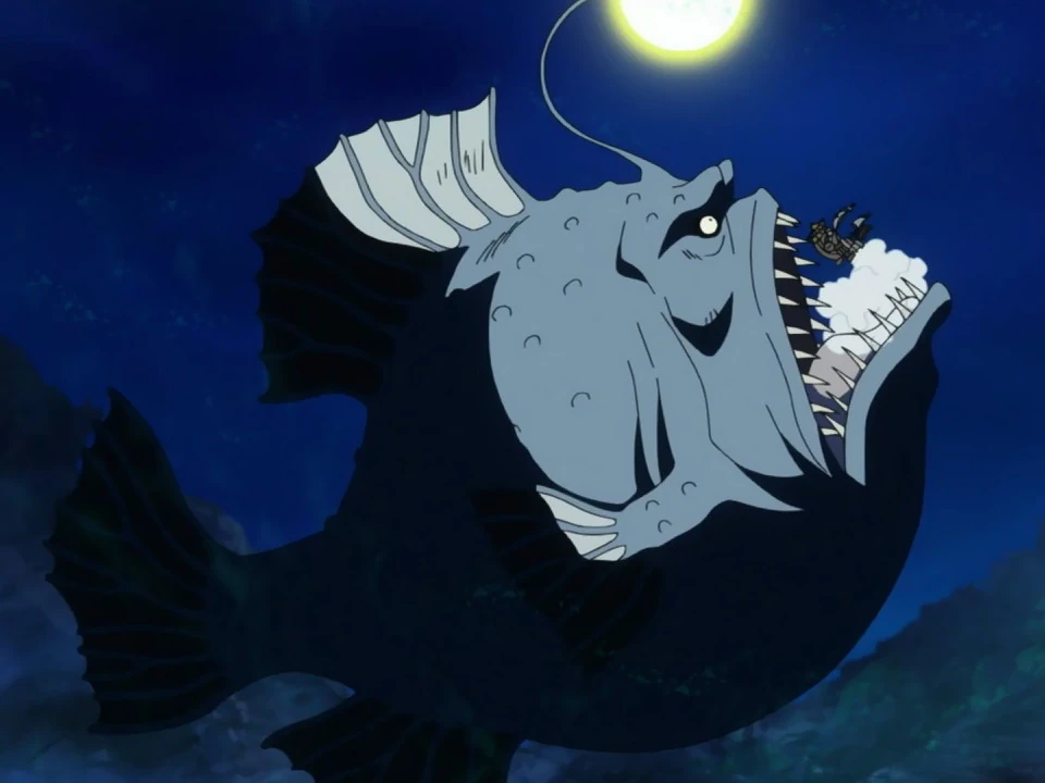 Ankoro | OnePiecePedia | Fandom