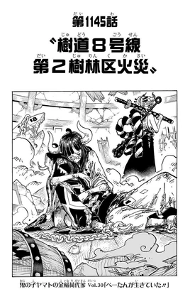 Chapter 1145 | One Piece Wiki | Fandom
