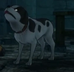 Chujo | One Piece Encyclopédie | Fandom