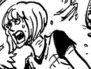 Hip | One Piece Encyclopédie | Fandom