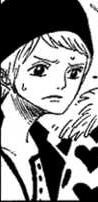 Hocha | One Piece Wiki | Fandom