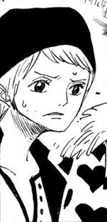 Hocha | One Piece Wiki | Fandom