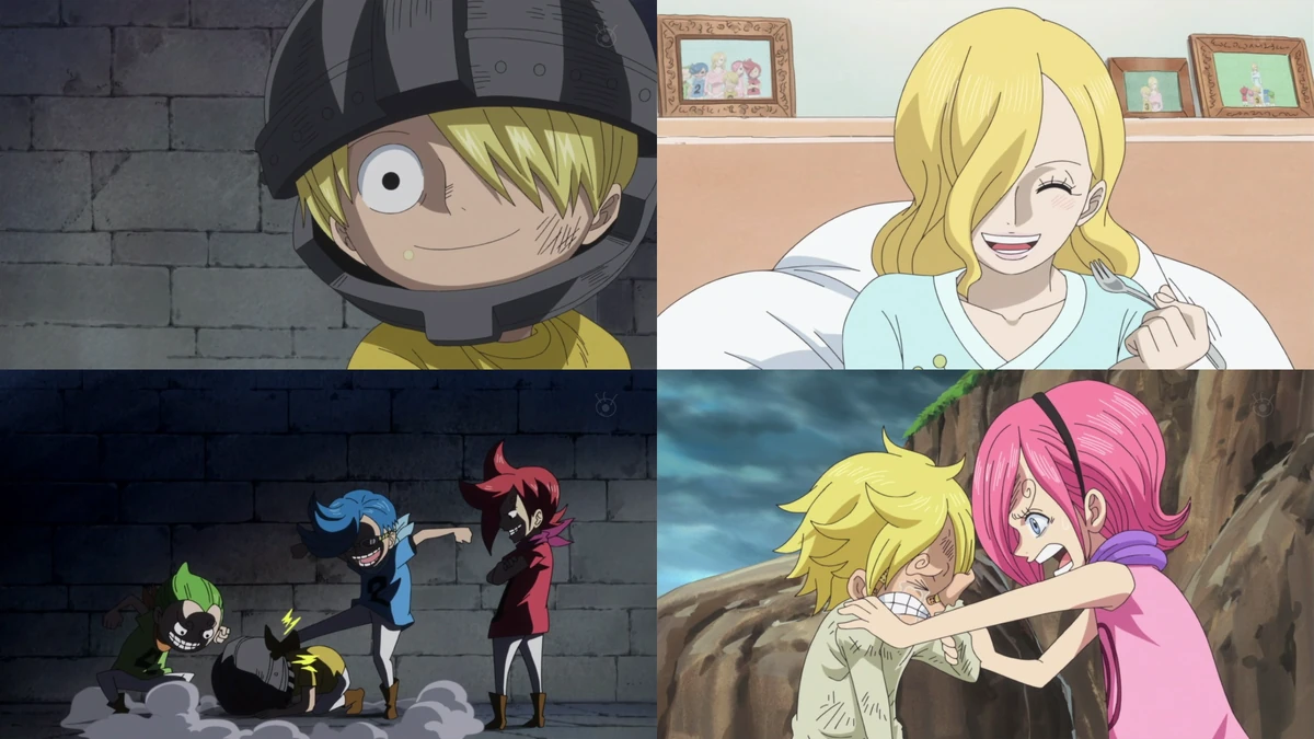 Episodio 804 | One Piece Wiki | Fandom