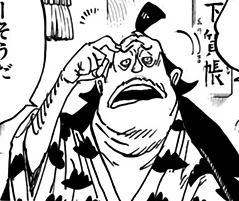 Hanji | One Piece Wiki | Fandom