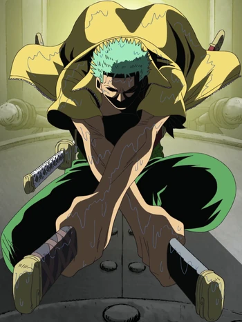 Three Sword Style/Two Sword Style | One Piece Wiki | Fandom
