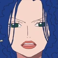 Assassin | One Piece Wiki | Fandom