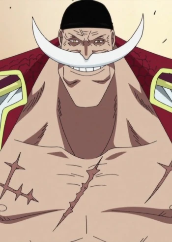 Edward Newgate | One Piece Wiki | Fandom