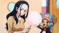 Nico Robin/Personality and Relationships | One Piece Wiki | Fandom