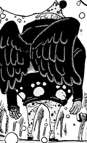 S-Bear | One Piece Wiki | Fandom