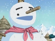 Snow Sculptures | One Piece Wiki | Fandom