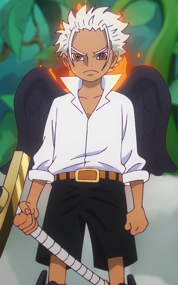 S-Hawk | One Piece Wiki | Fandom