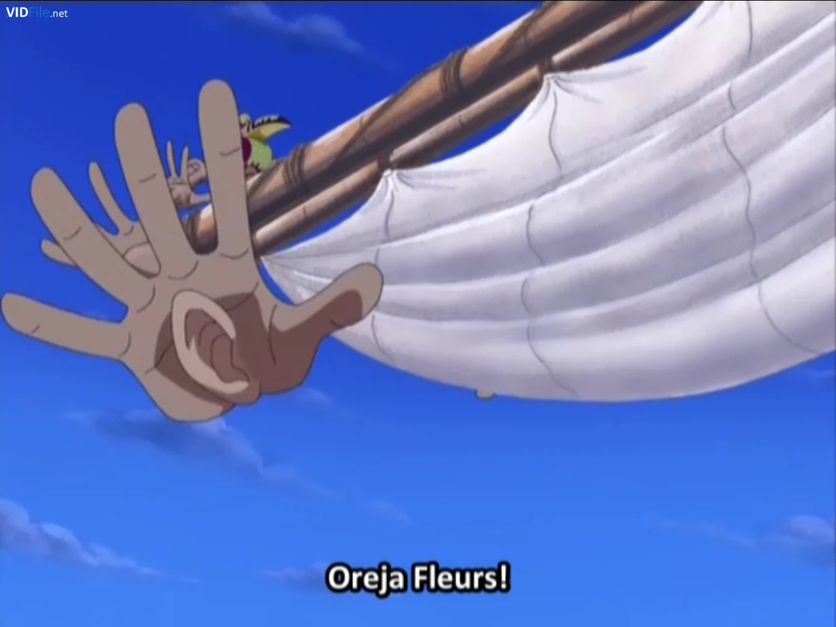 Oreja fleur | One Piece Wiki | Fandom