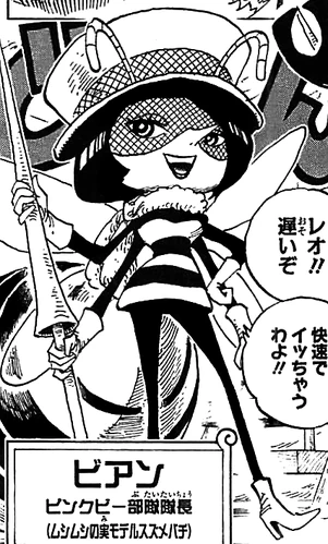 Bian | One Piece Wiki | Fandom