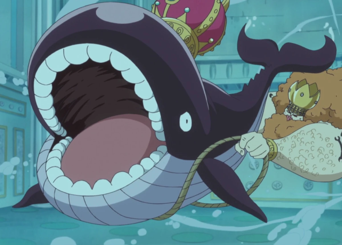 Whally | One Piece Wiki Italia | Fandom