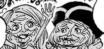 Conney | One Piece Wiki | Fandom