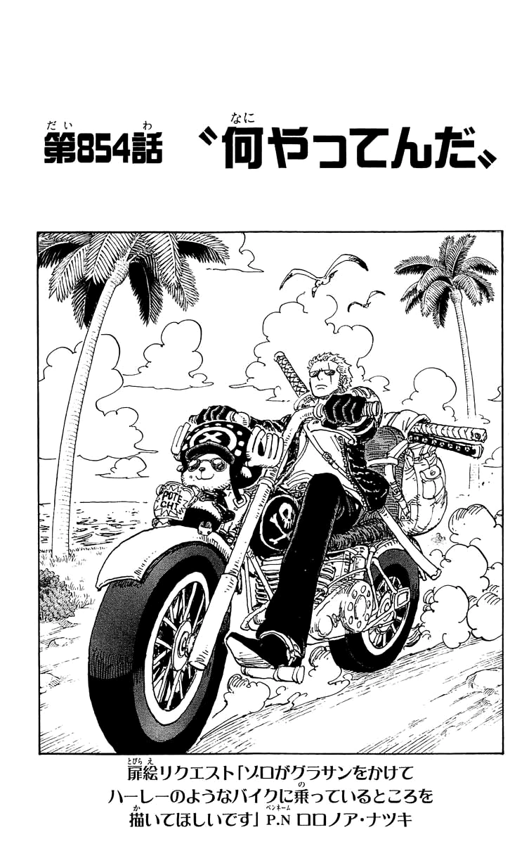 Capitolo 854: Ma cosa sto facendo? | One Piece Wiki Italia | Fandom