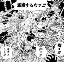 Roronoa Zoro/History/During and After the Timeskip | One Piece Wiki ...