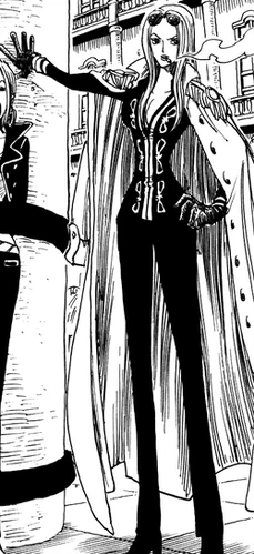 Hina | One Piece Wiki | Fandom