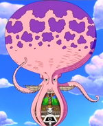 Animal Species/Sky Island Saga | One Piece Wiki | Fandom