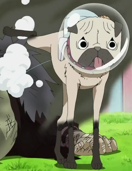Saru | One Piece Wiki | Fandom