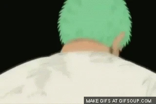 Santoryu/Mutoryu | One Piece Wiki | Fandom
