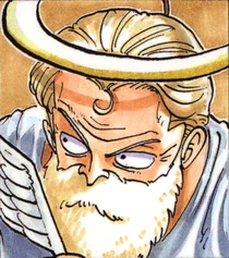 God | One Piece Wiki | Fandom