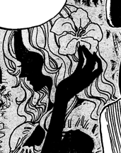 Portgas D. Rouge | One Piece Wiki | Fandom