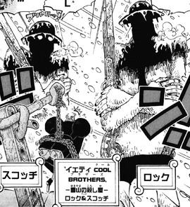 Yeti Cool Brothers | One Piece Encyclopédie | Fandom