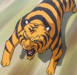 Animal Species/Wano Country Saga | One Piece Wiki | Fandom