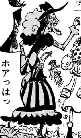 Oli | One Piece Wiki | Fandom