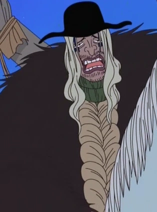 Doc Q | One Piece Wiki | Fandom