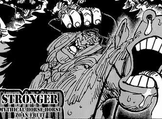 Doc Q | One Piece Wiki | Fandom